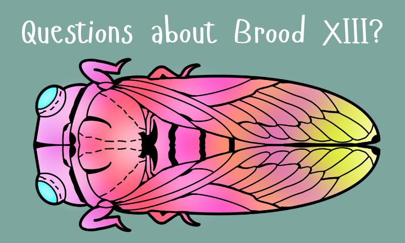 Barrett Memorial Library | The Library for Williams Bay Wisconsin on ...